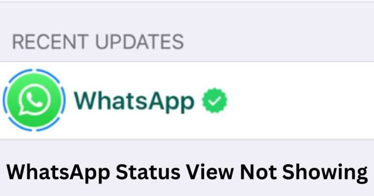 How to Fix WhatsApp Status View Not Showing? - MambaPost